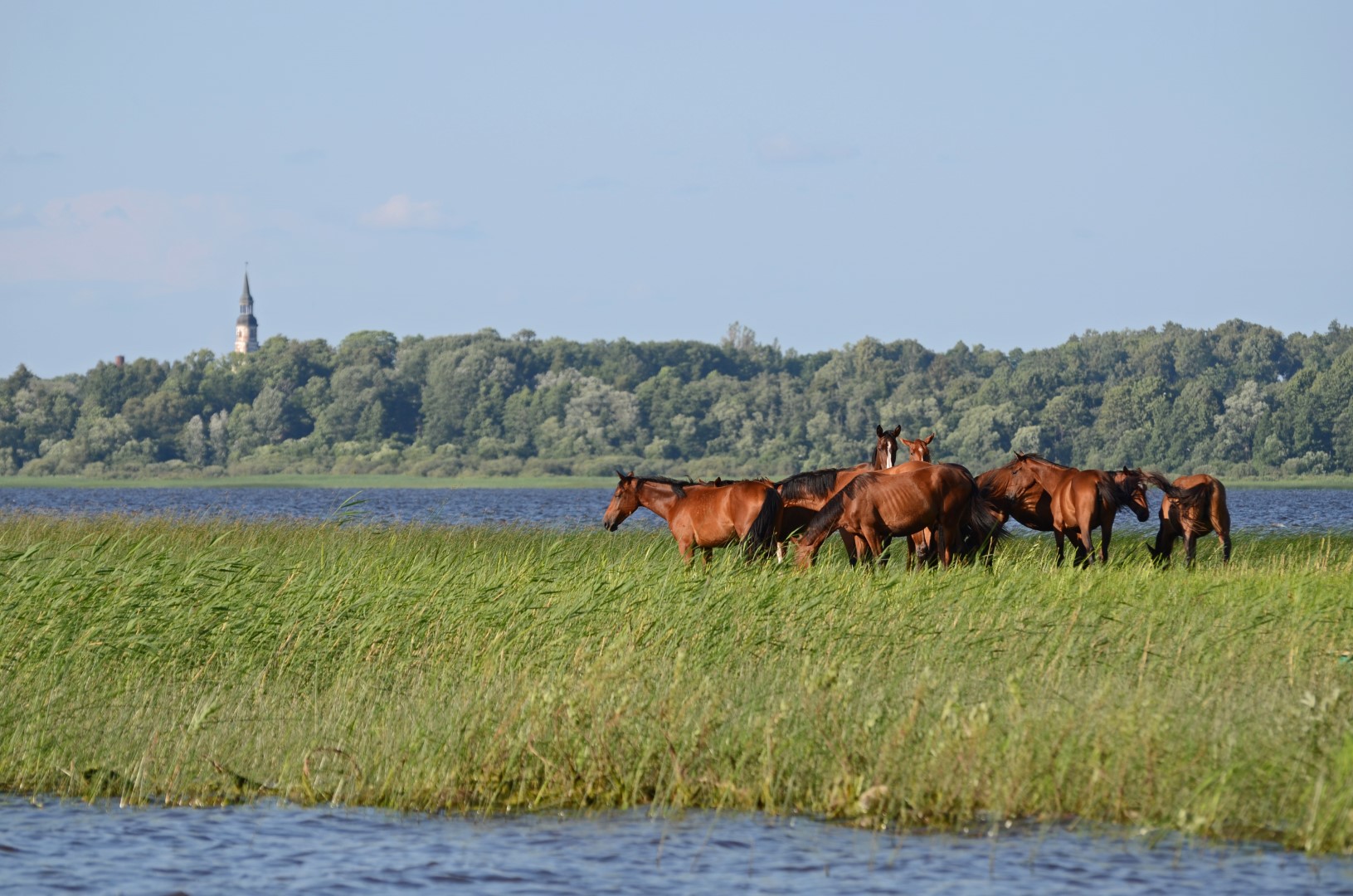 Sākums EN - Visit Valmiera